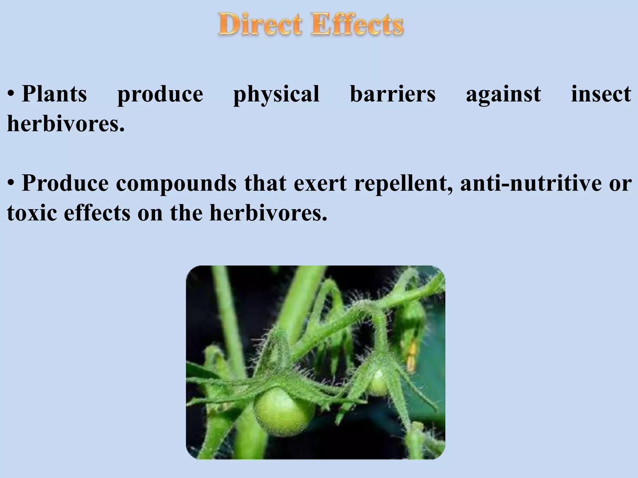 Defense Mechanism in Plants Against Insects | PPTX