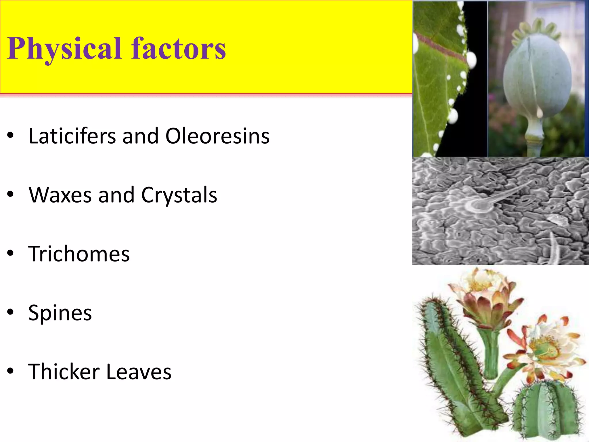 Defense Mechanism in Plants Against Insects | PPTX