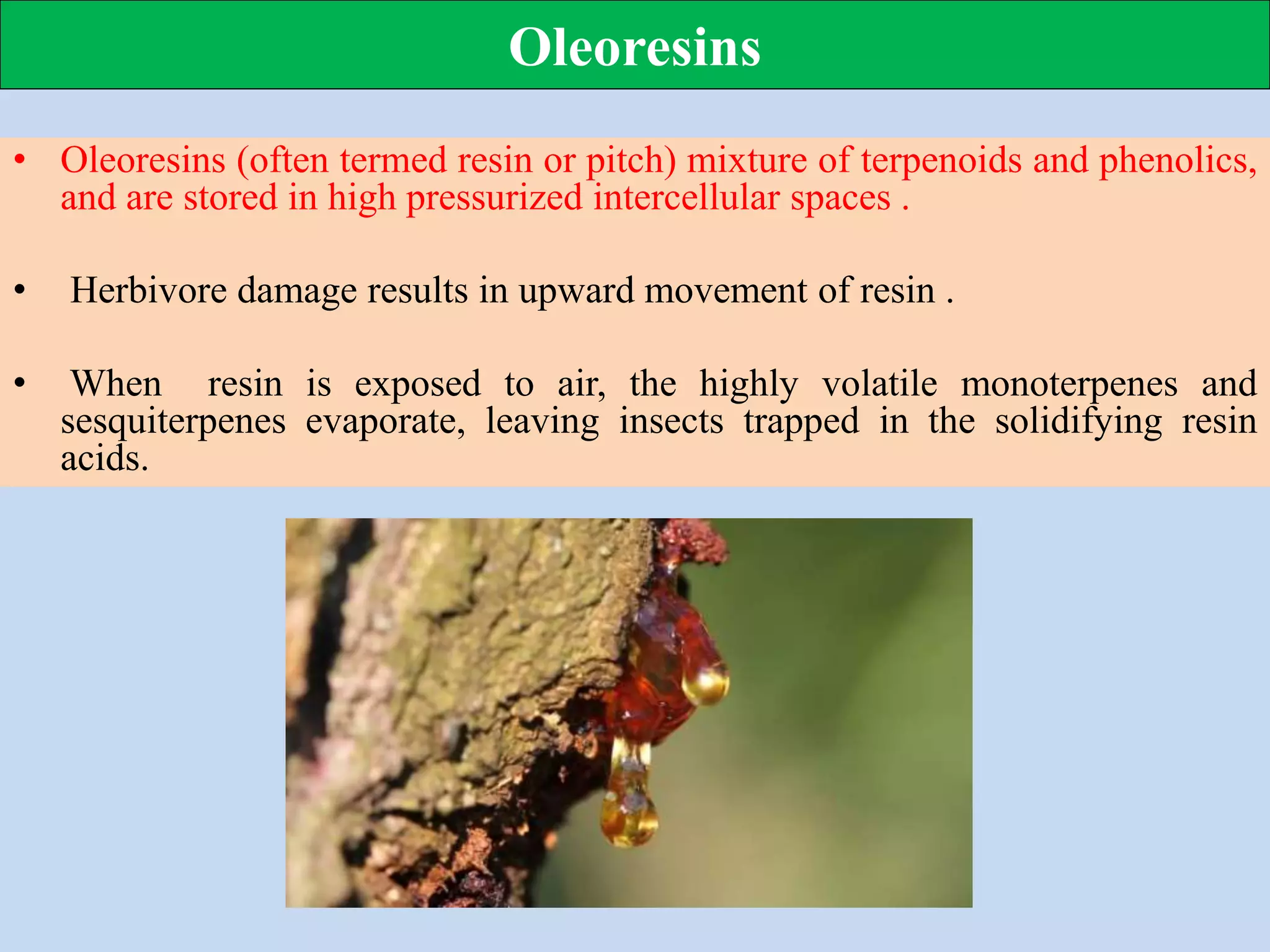 Defense Mechanism in Plants Against Insects | PPTX