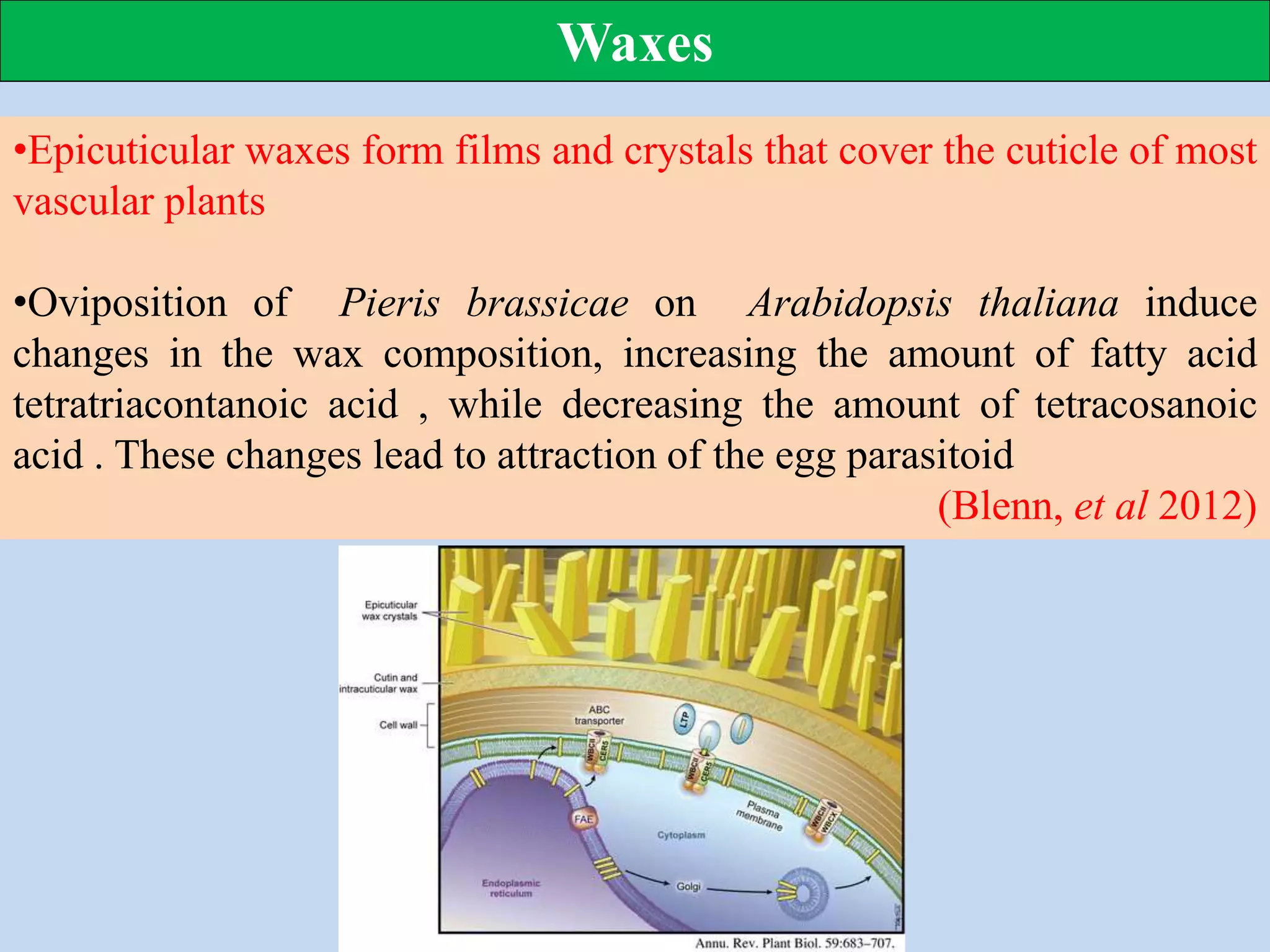 Defense Mechanism in Plants Against Insects | PPTX