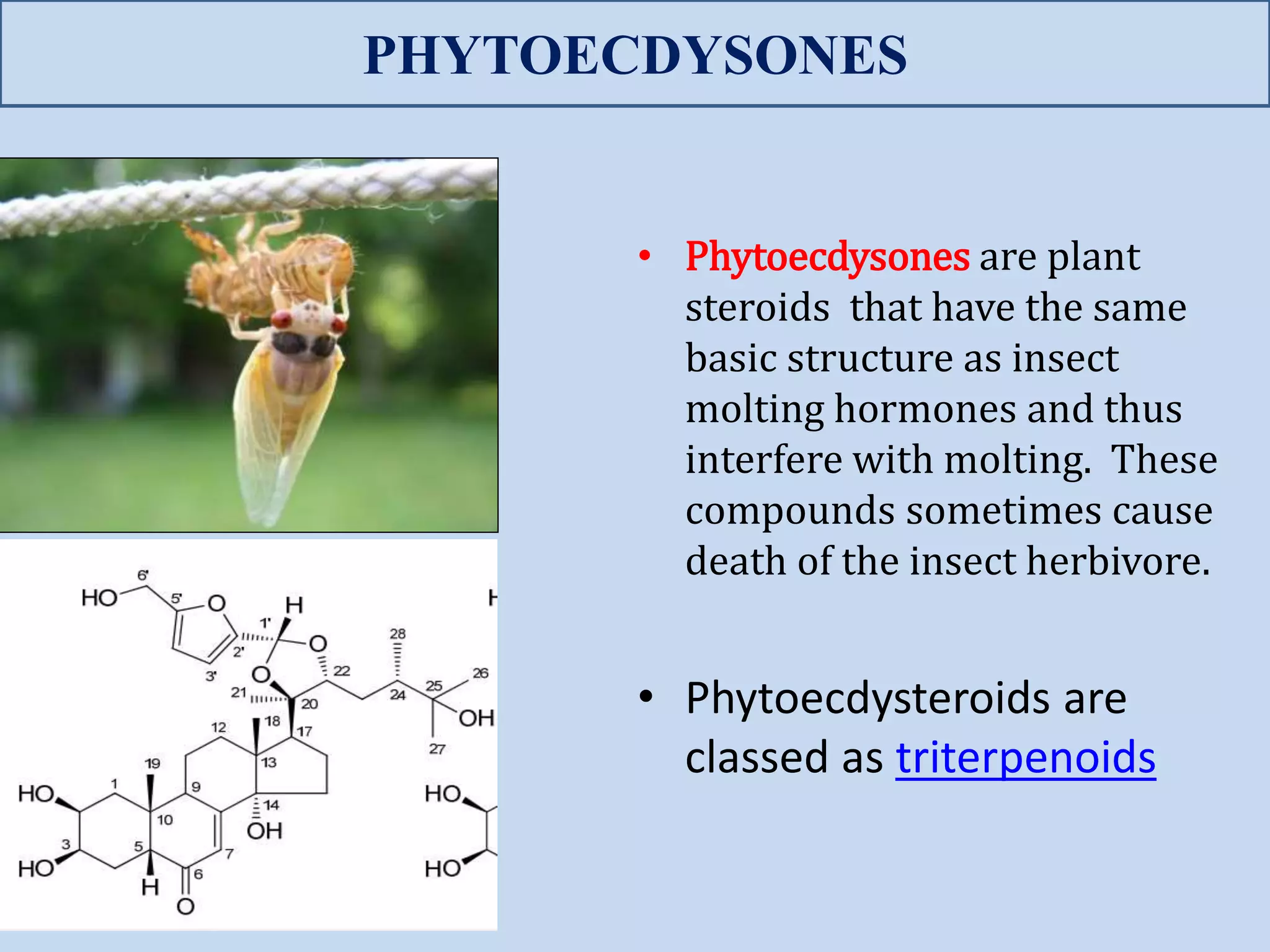 Defense Mechanism in Plants Against Insects | PPTX | Gardening | Home ...
