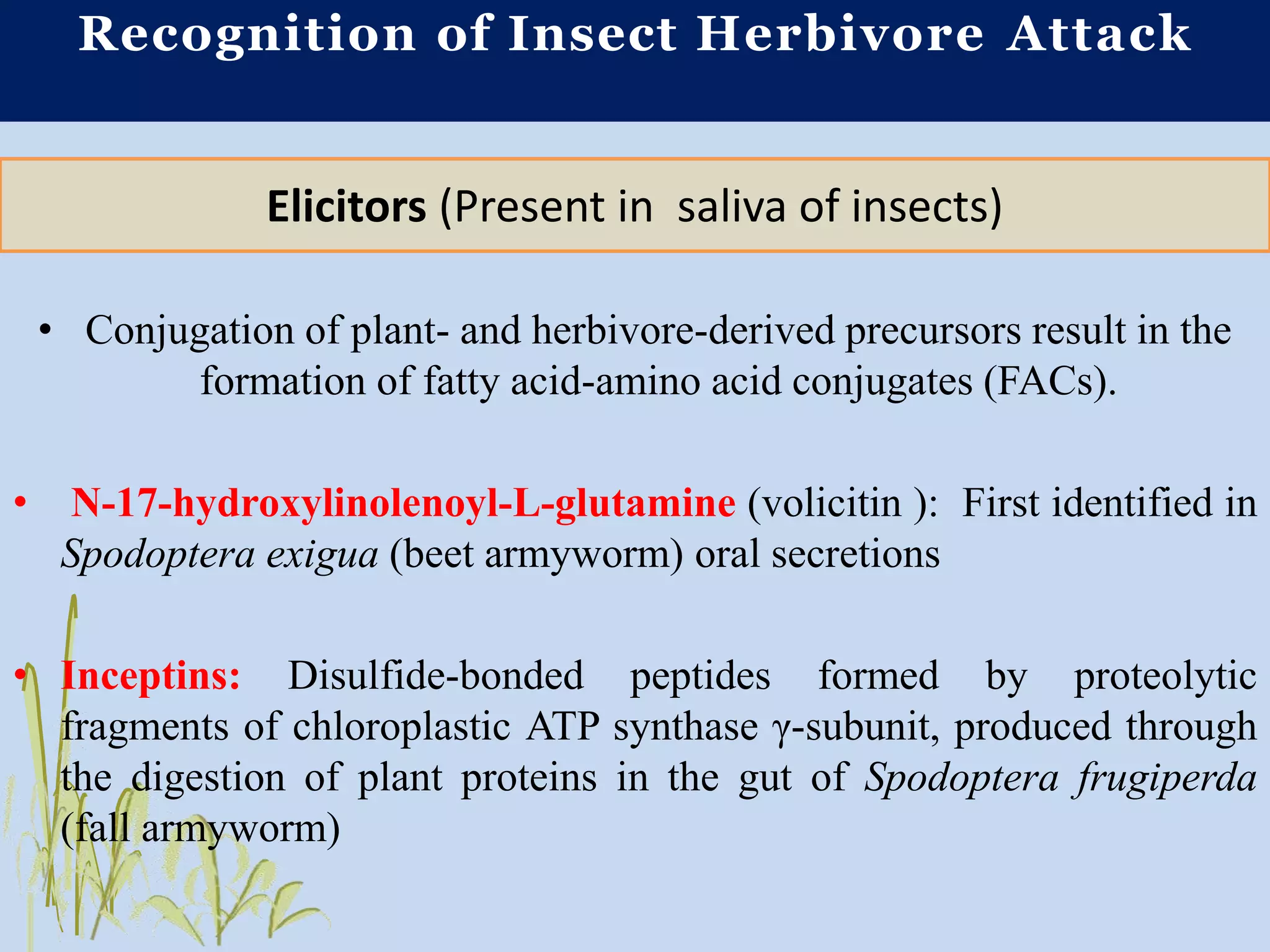 Defense Mechanism in Plants Against Insects | PPTX