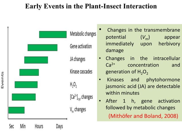 Defense Mechanism in Plants Against Insects | PPTX | Gardening | Home ...