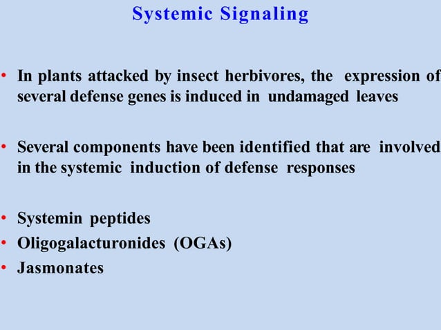 Defense Mechanism in Plants Against Insects | PPTX | Gardening | Home ...