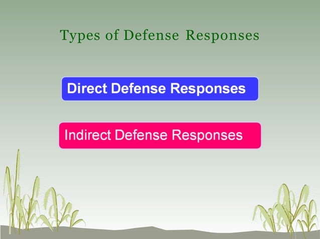 Defense Mechanism in Plants Against Insects | PPTX | Gardening | Home ...