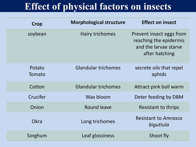 Defense Mechanism in Plants Against Insects | PPTX | Gardening | Home ...