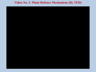 Defense Mechanism in Plants Against Insects | PPTX