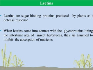 Defense Mechanism in Plants Against Insects | PPTX