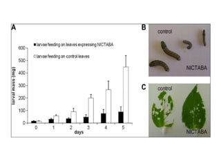 Defense Mechanism in Plants Against Insects | PPTX