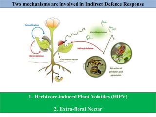 Defense Mechanism in Plants Against Insects | PPTX