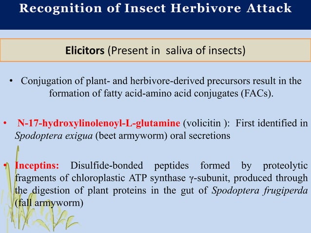 Defense Mechanism in Plants Against Insects | PPTX | Gardening | Home ...