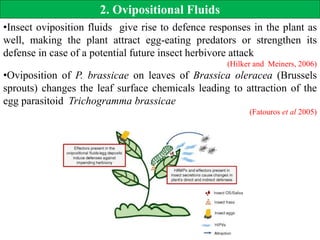 Defense Mechanism in Plants Against Insects | PPTX