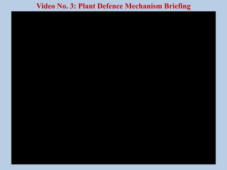 Defense Mechanism in Plants Against Insects | PPTX