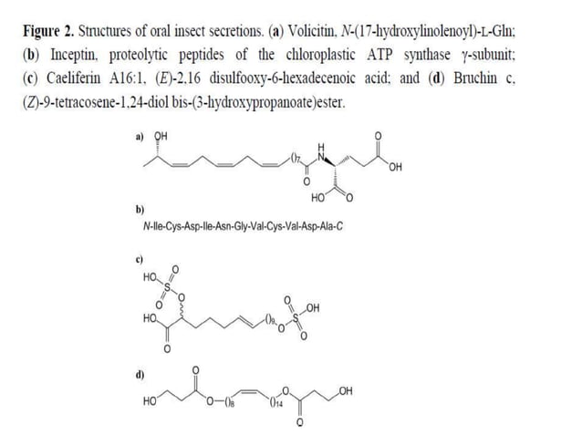 Defense Mechanism in Plants Against Insects | PPTX | Gardening | Home ...