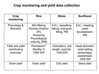 Rice-Rice-Rabi systems for low salinty regions of the coastal zone of ...