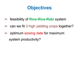 Rice-Rice-Rabi systems for low salinty regions of the coastal zone of Bangladesh | PDF ...