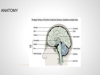 Crossectional anatomy of Head | PPTX