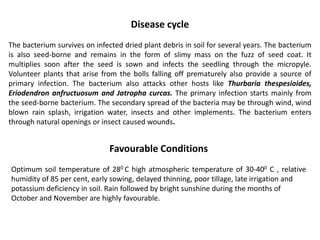Diseases of cotton | PPTX