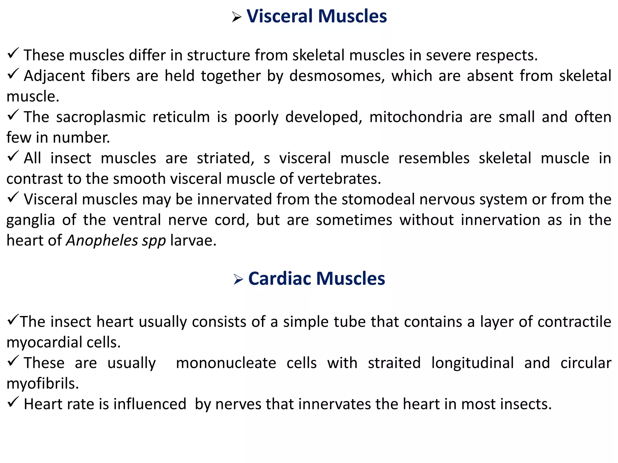 muscular system | PDF