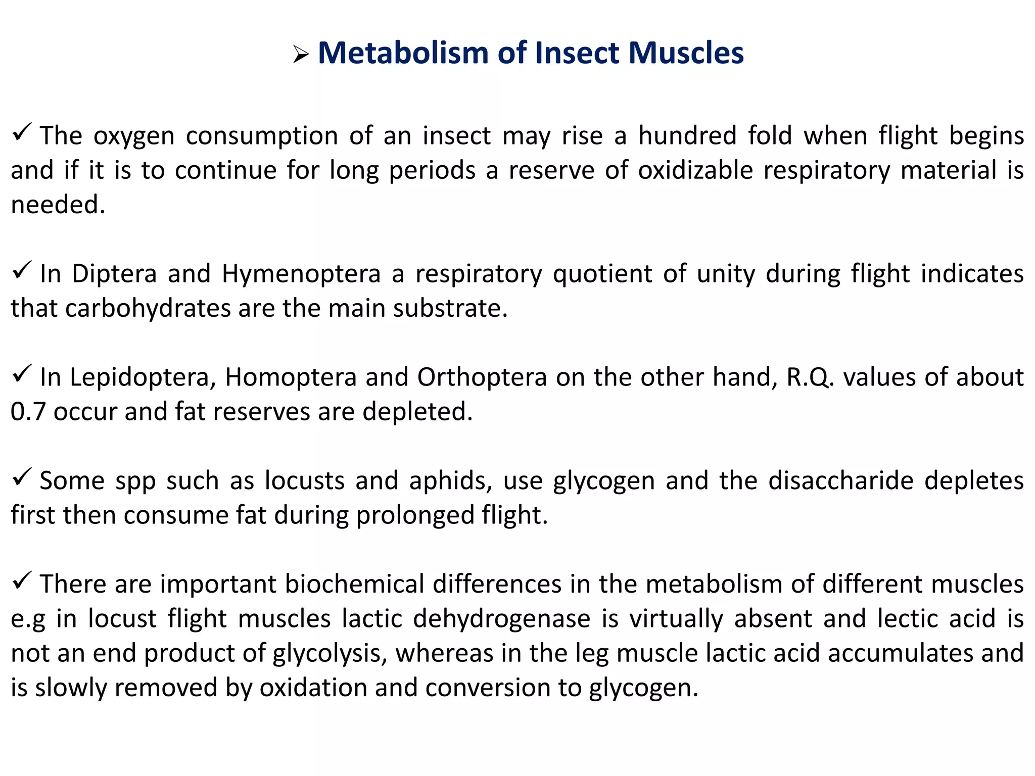 muscular system | PDF