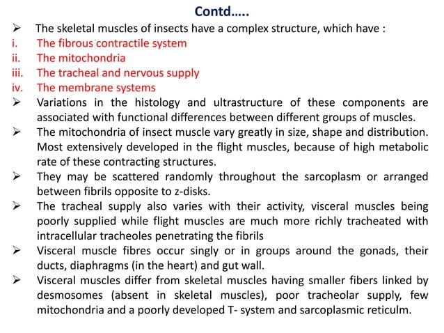 Muscular system in insects | PPTX | Biological Sciences | Science