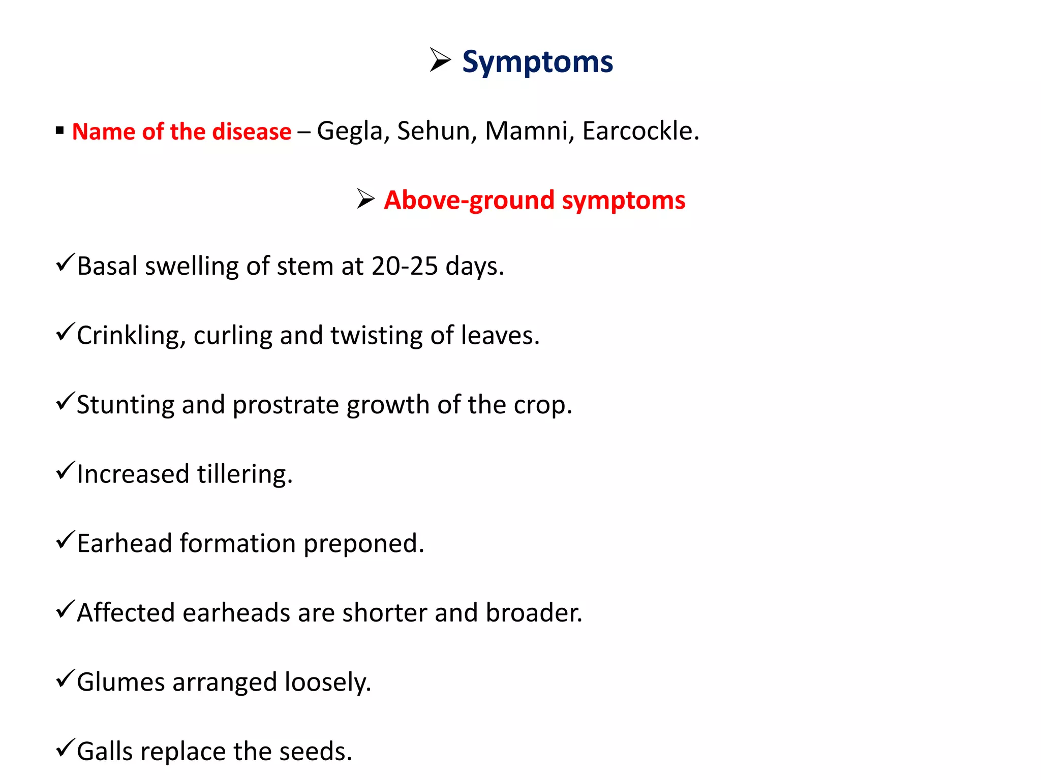 Ear cockle and yellow ear rot diseases of wheat | PPTX