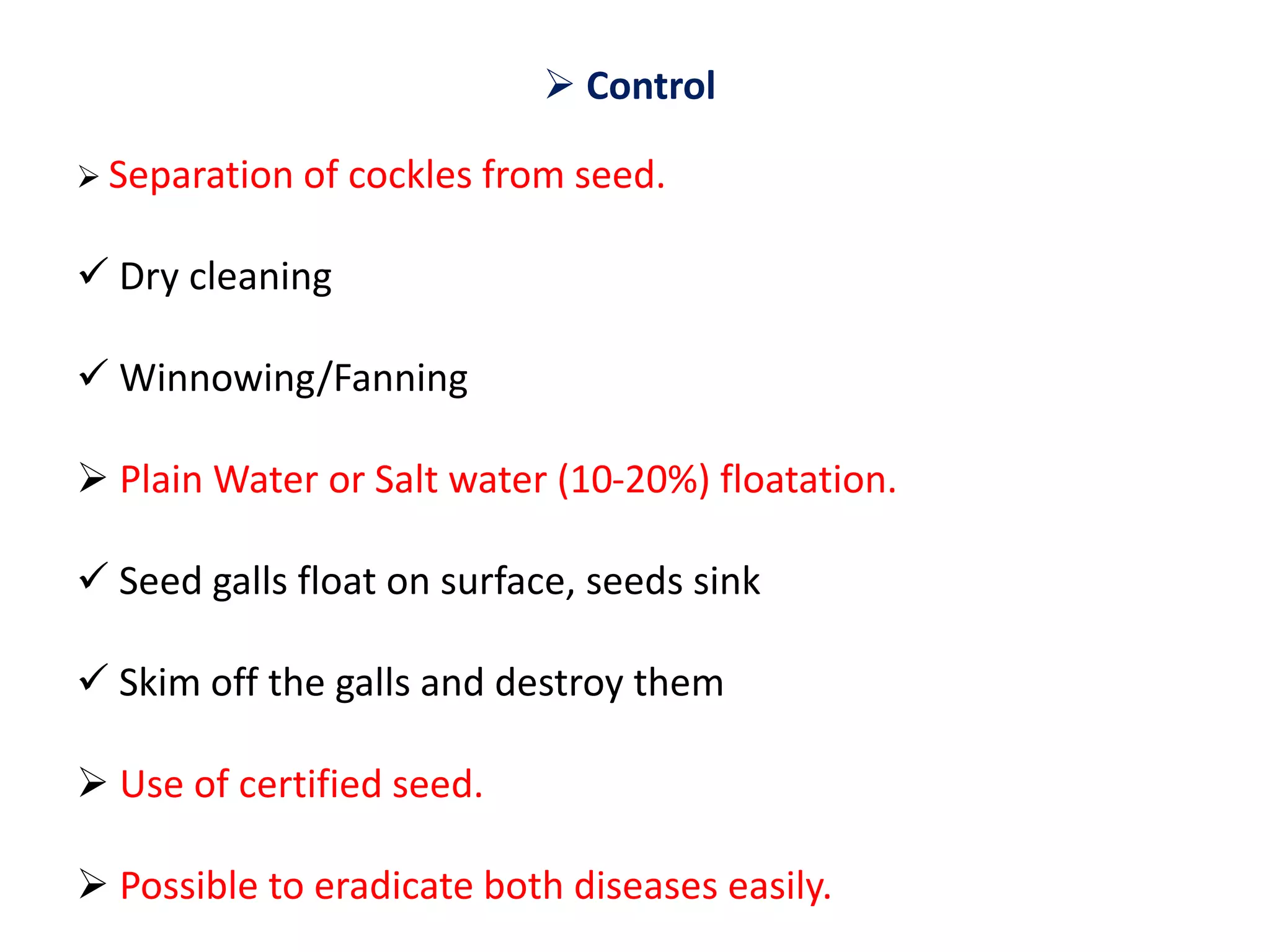 Ear cockle and yellow ear rot diseases of wheat | PPTX