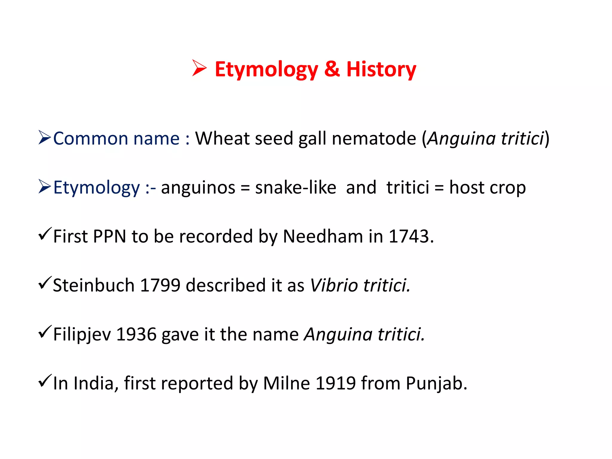 Ear cockle and yellow ear rot diseases of wheat | PPTX