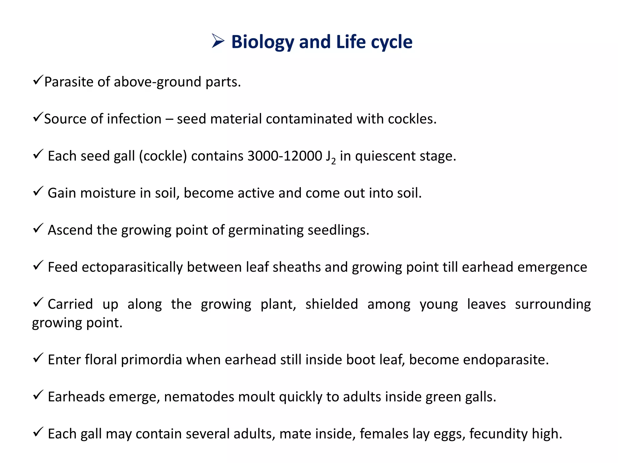 Ear cockle and yellow ear rot diseases of wheat | PPTX
