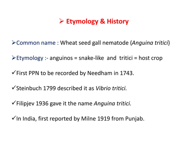Ear cockle and yellow ear rot diseases of wheat | PPTX | Gardening ...