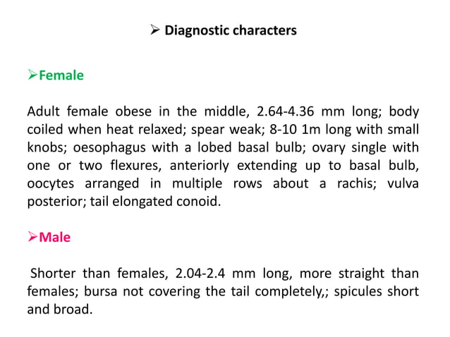 Ear cockle and yellow ear rot diseases of wheat | PPT