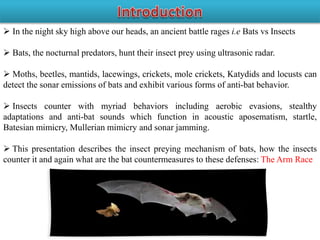 Sound Strategies: the 65-million-year-old battle between Bats and ...