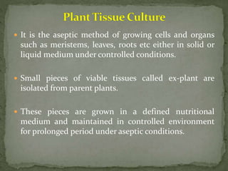 Tissue culture techniques in plant protection | PPTX
