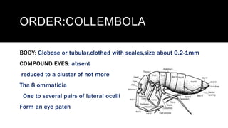 JAYAPRADHA 2021031034 AEN.pptx