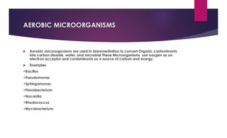 Microbes involved in aerobic and anaerobic process | PDF