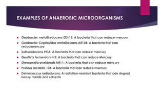 Microbes involved in aerobic and anaerobic process | PDF