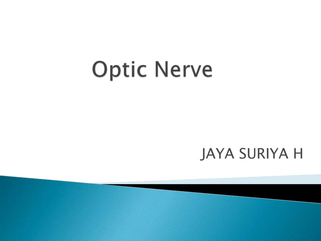 Optic nerve | PPT