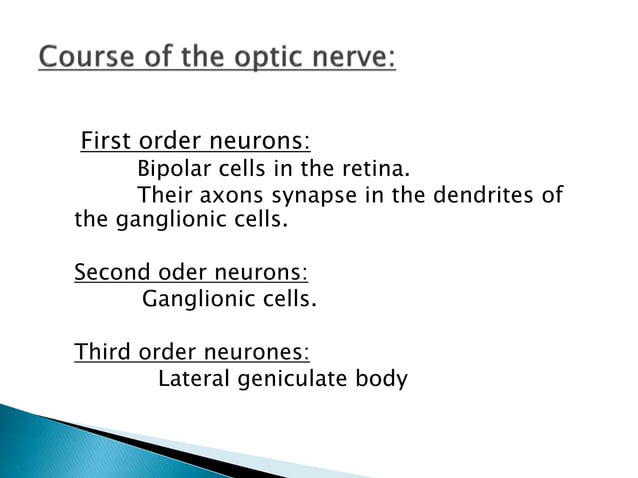 Optic nerve | PPT