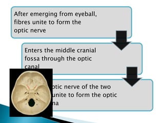 Optic nerve | PPTX