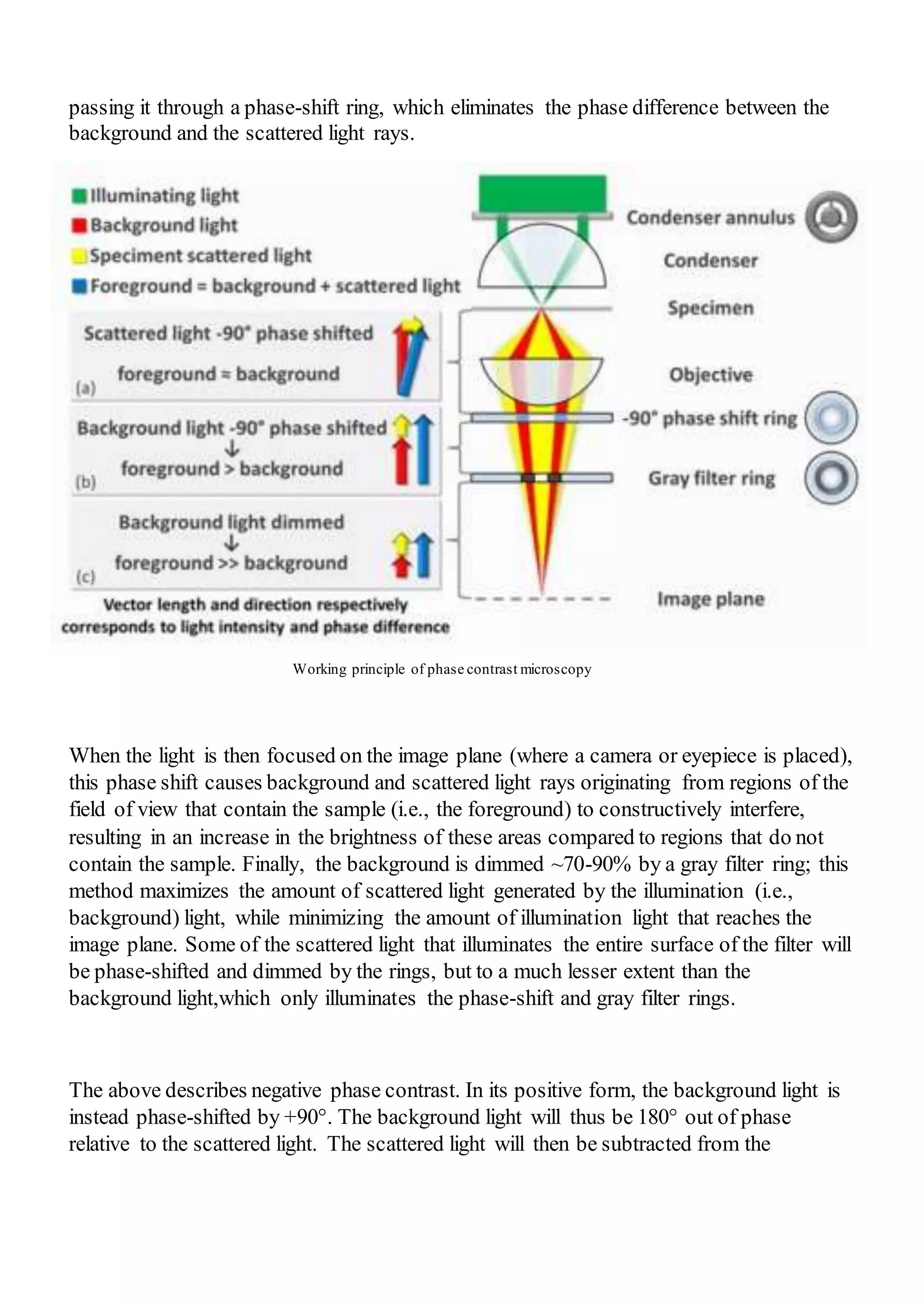 Phase contrast Microscopy | DOCX