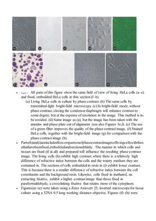 Phase contrast Microscopy | DOCX