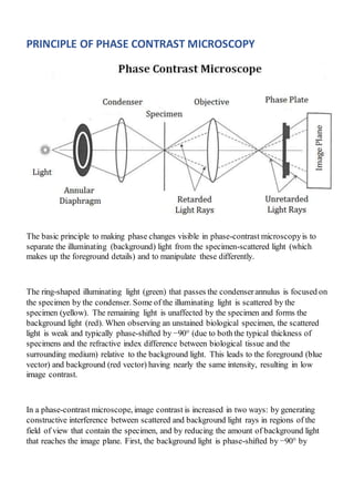 Phase contrast Microscopy | DOCX