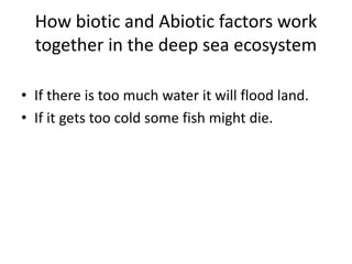Jayden deep sea ecosystem | PPTX