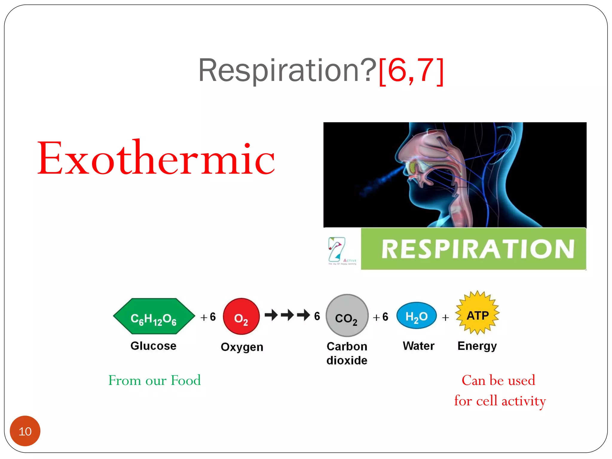 Endothermic and Exothermic reaction in daily life | PDF