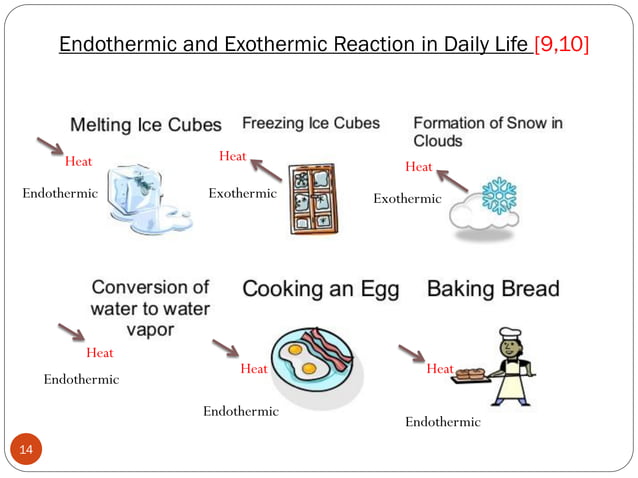 Endothermic and Exothermic reaction in daily life | PDF | Chemistry ...