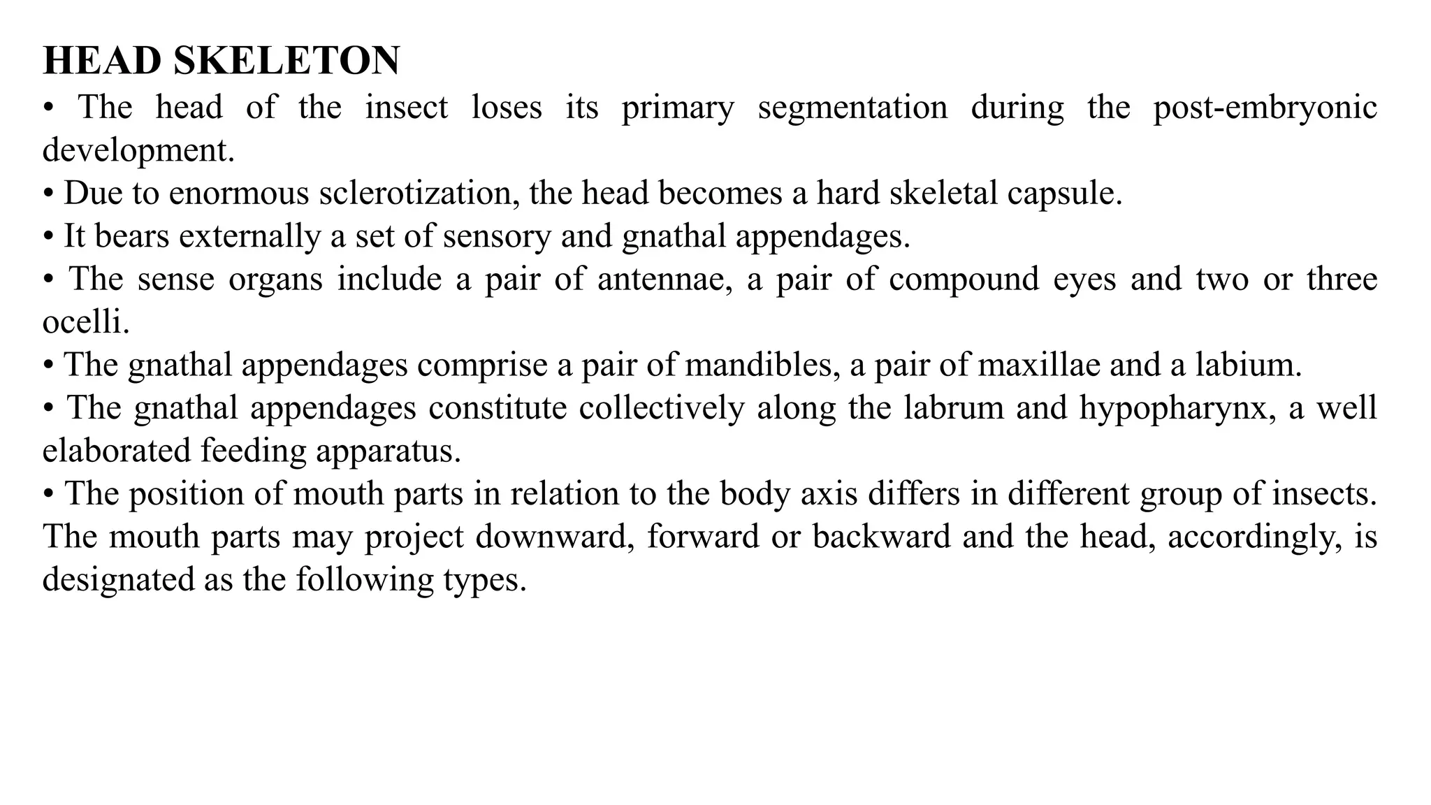 Insect head:- it’s origin, structure, function and modification in ...