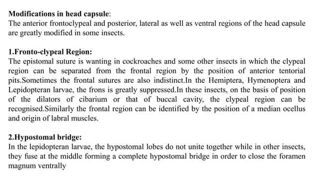 Insect head:- it’s origin, structure, function and modification in ...