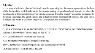 Insect head:- it’s origin, structure, function and modification in ...