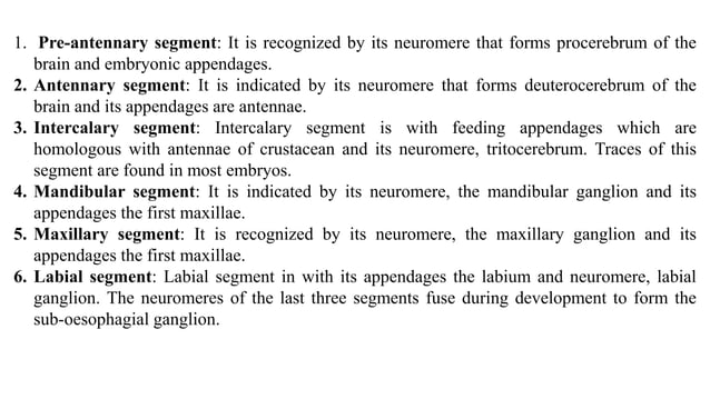 Insect head:- it’s origin, structure, function and modification in ...