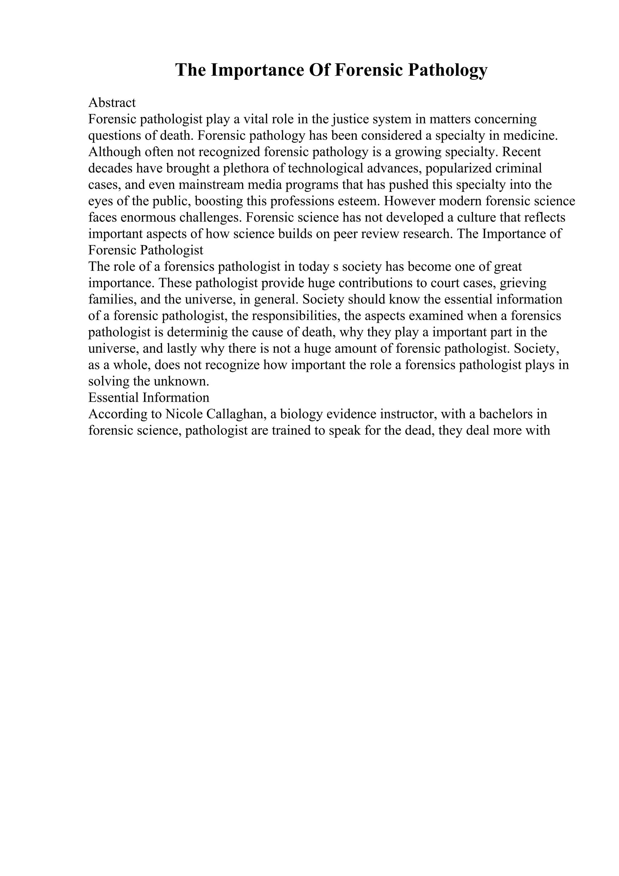 Jay Gatsby Character Analysis Essay.pdf